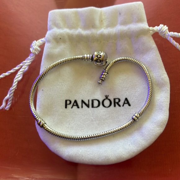 Pandora | Jewelry | Pandora Snake Bracelet | Poshmark
